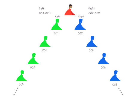 How to Join the MMP – More Move Project